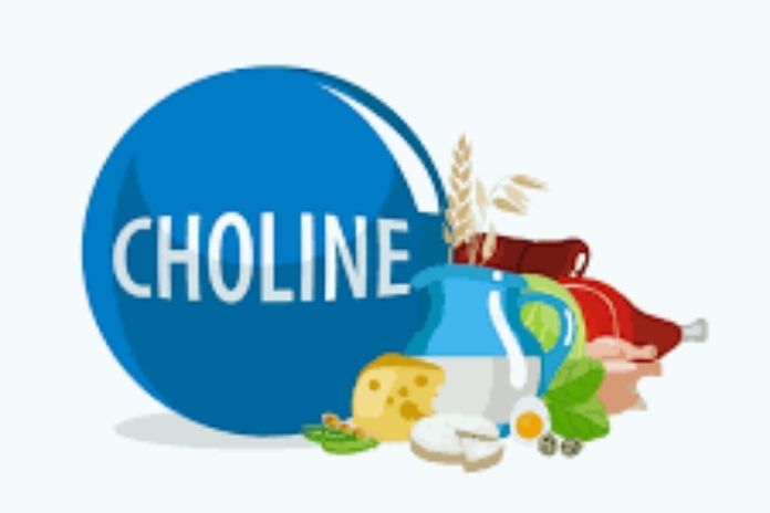 Choline, Properties And Uses