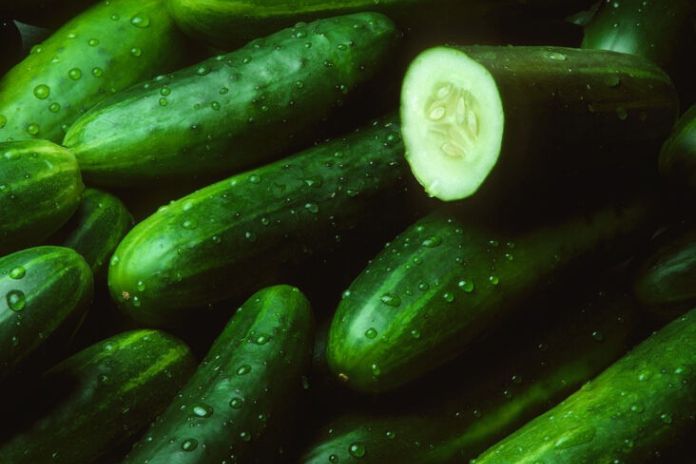 Ten Foods To Eat At Ease Without Getting Fat