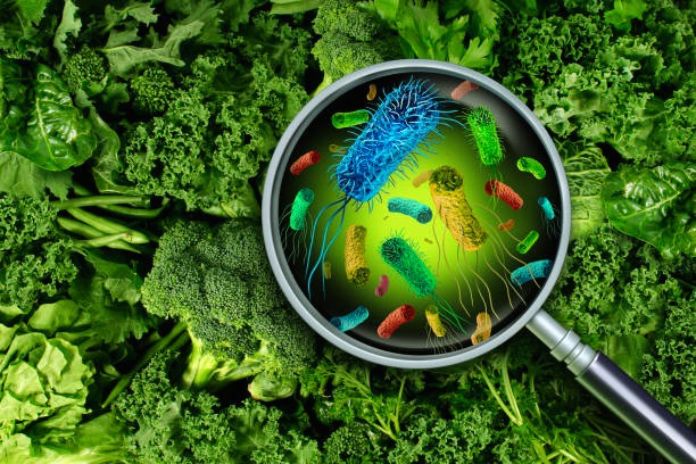 Listeria, How To Recognize The Symptoms And Which Foods Are At Risk